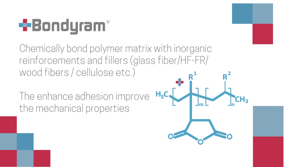 polytron index screen - Polyram interactive screen